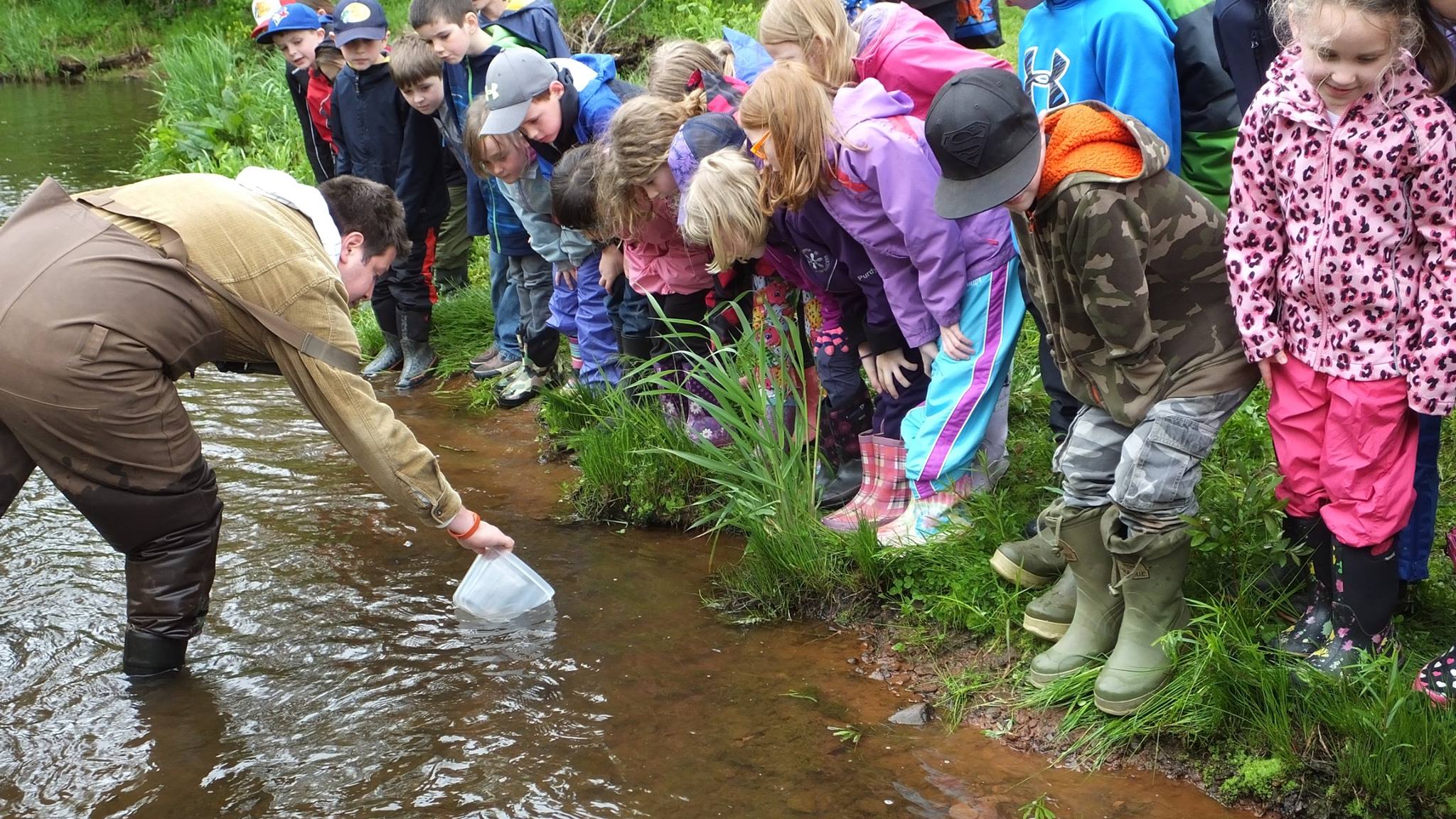 Adopt-a-River Programs – BBEMA